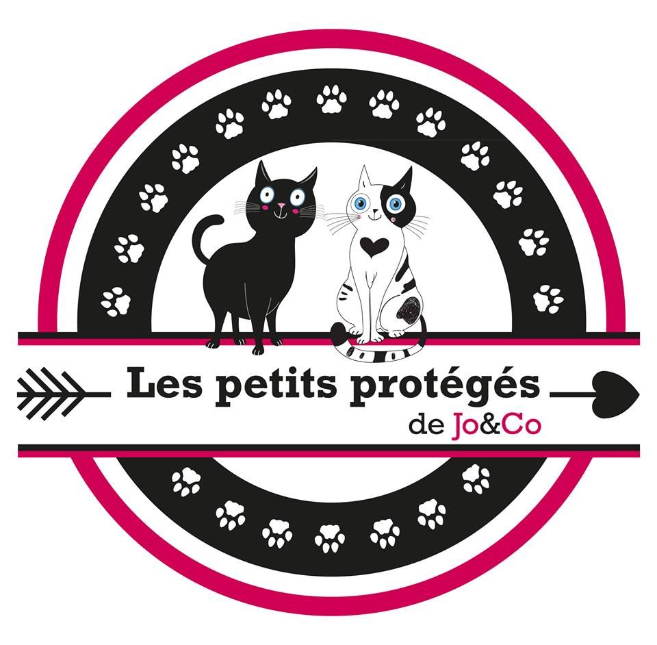 LES PETITS PROTÉGÉS DE JO & CO | HelloAsso